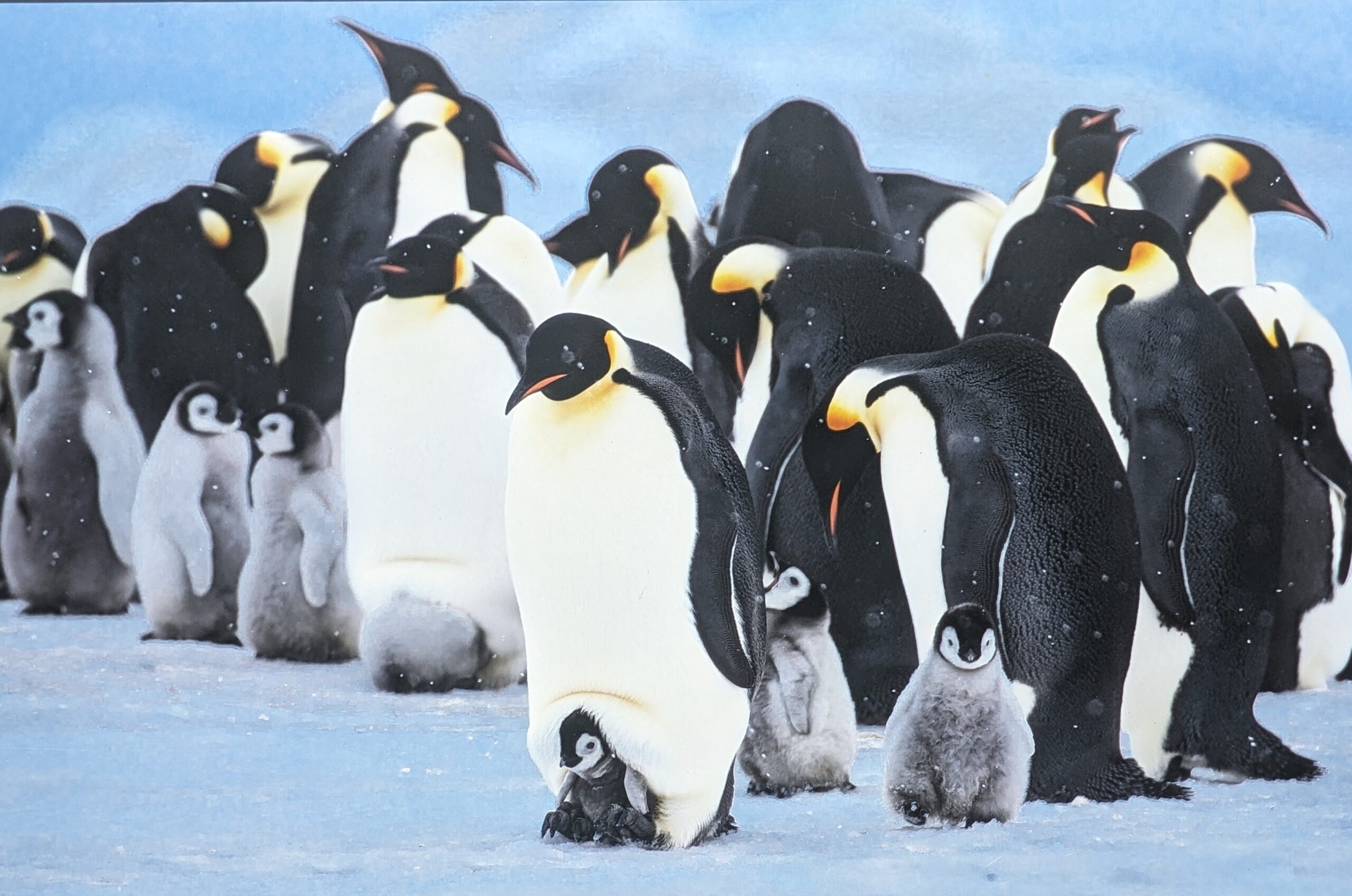 Protofeminist Urmensch | Mehr Inspiration im Blog von Pastoralinnovation